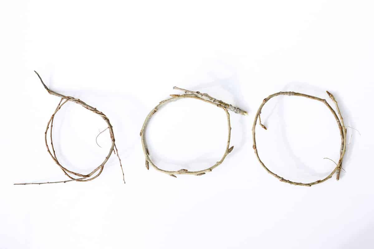 How To Make A Decorative Bird s Nest Out Of Twigs How To Make A Decorative Bird s Nest Out Of Twigs