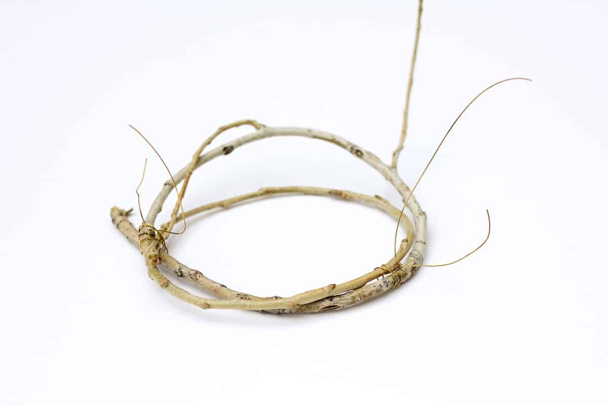 How To Make A Decorative Bird s Nest Out Of Twigs