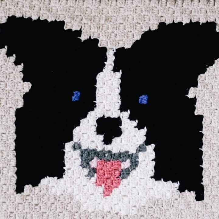 Free c2c Crochet Graphgan Patterns + More 🧶 Make & Do Crew