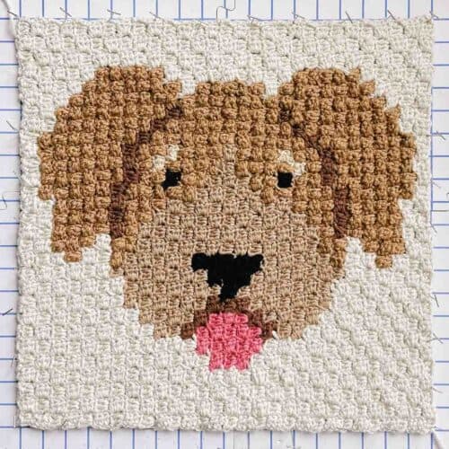 Free c2c Crochet Graphgan Patterns + More 🧶 Make & Do Crew