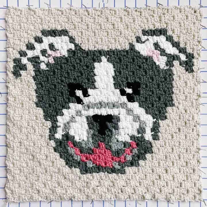 Best In Show C2C Crochet Dog Blanket Pattern » Make & Do Crew